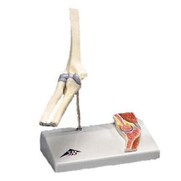 Mini Elbow Joint model with cross section A87/1 for €46.80